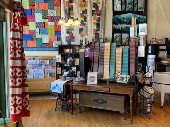 Na-La's Quilt Shoppe | Design, Geometry and Challenge Fuels Local Store